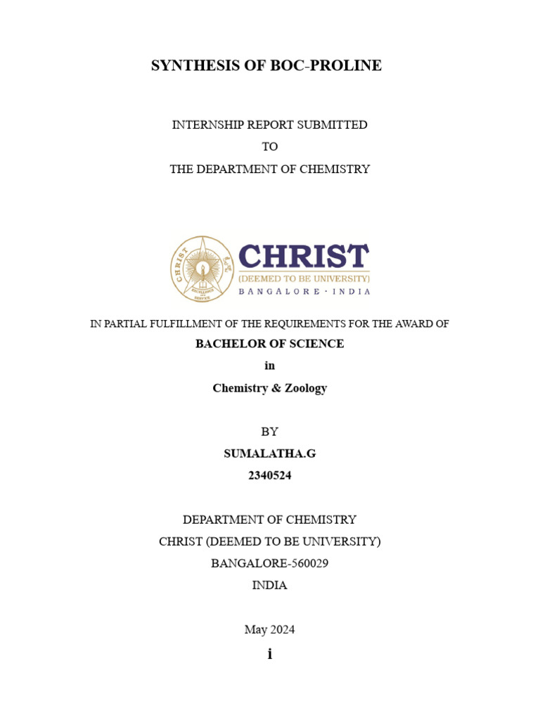 BSC CZ Internship Report | PDF