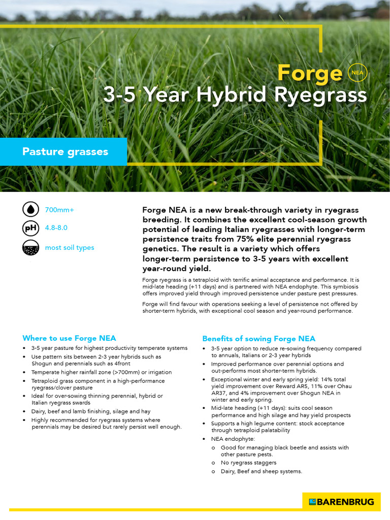 Forge NEA - Tech Sheet - Digital | PDF