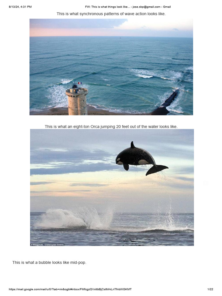 This Is What Things Look Like | PDF