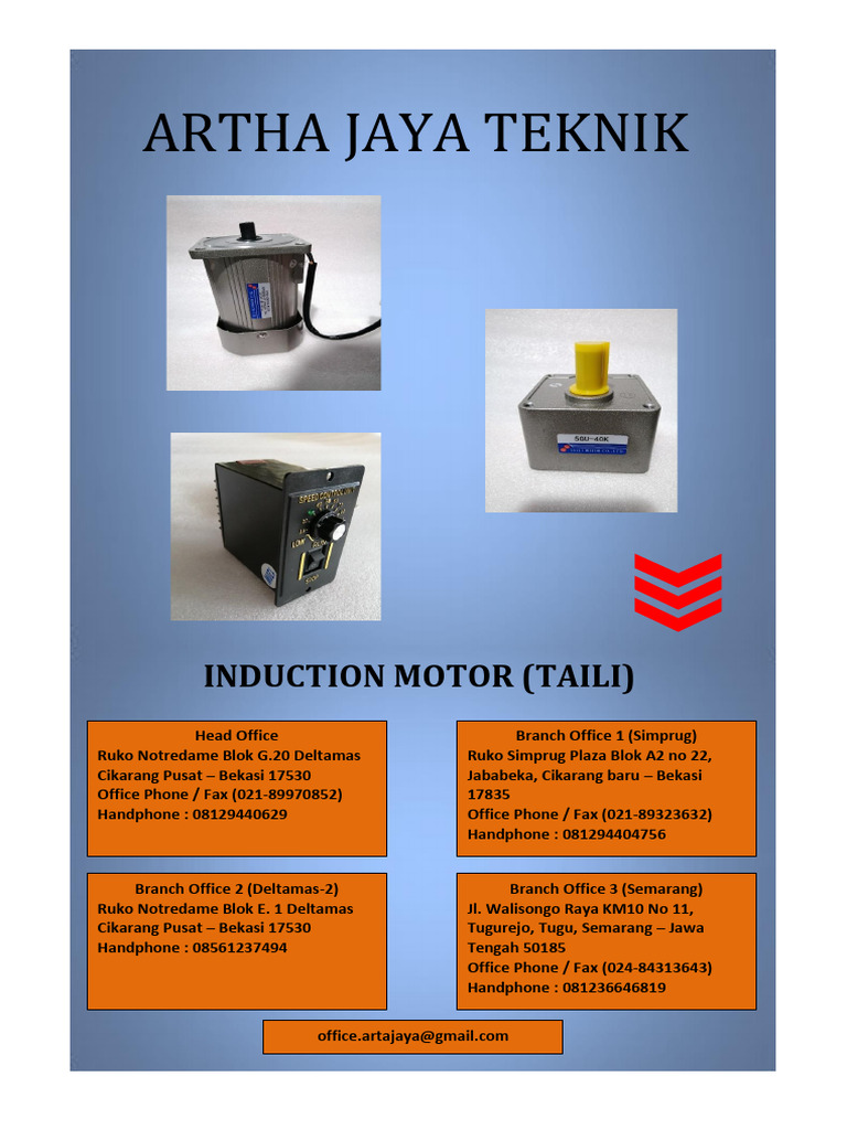 Katalog Induction Motor Taili | PDF
