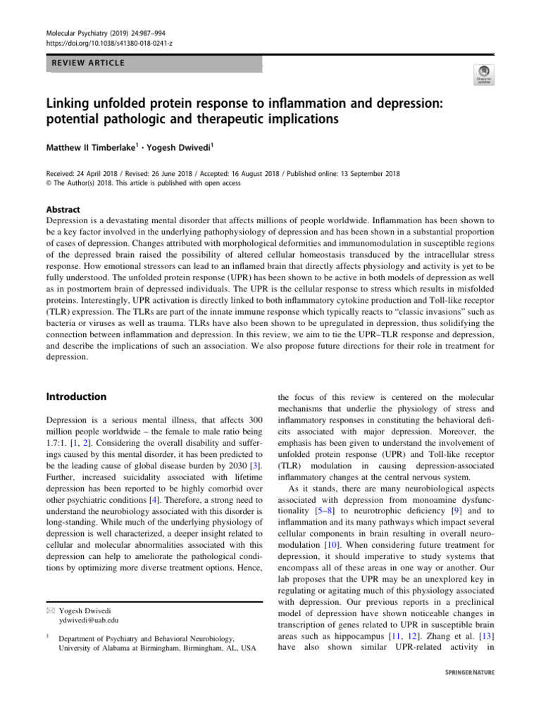 Linking Unfolded Protein Response To Inflammation and Depression | PDF