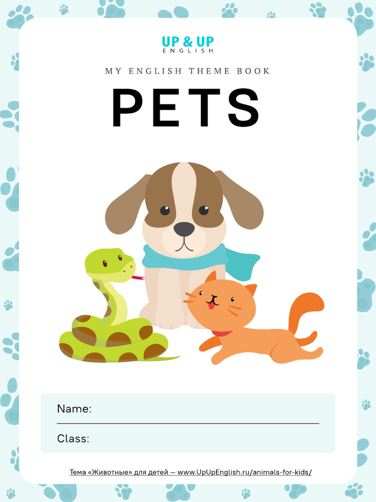 Workbook Pets | PDF