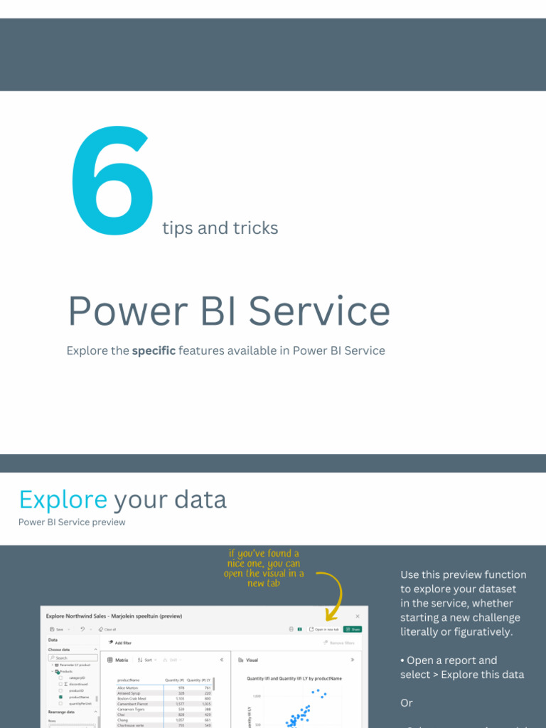 Power BI Service | PDF