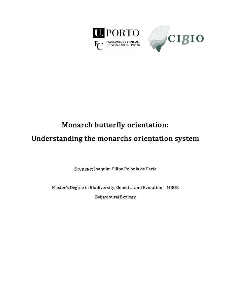 Monarch Butterfly Orientation: Understanding The Monarchs Orientation ...