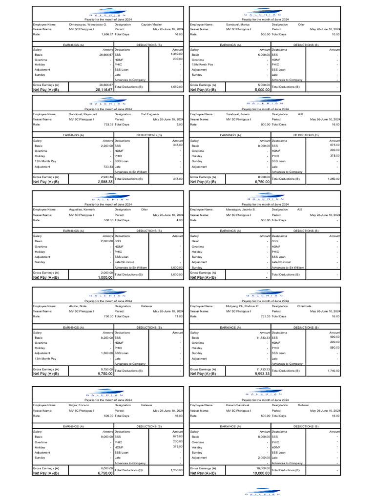MV 3C Pterippus I - Payslip - 2024 - 06142024 | PDF