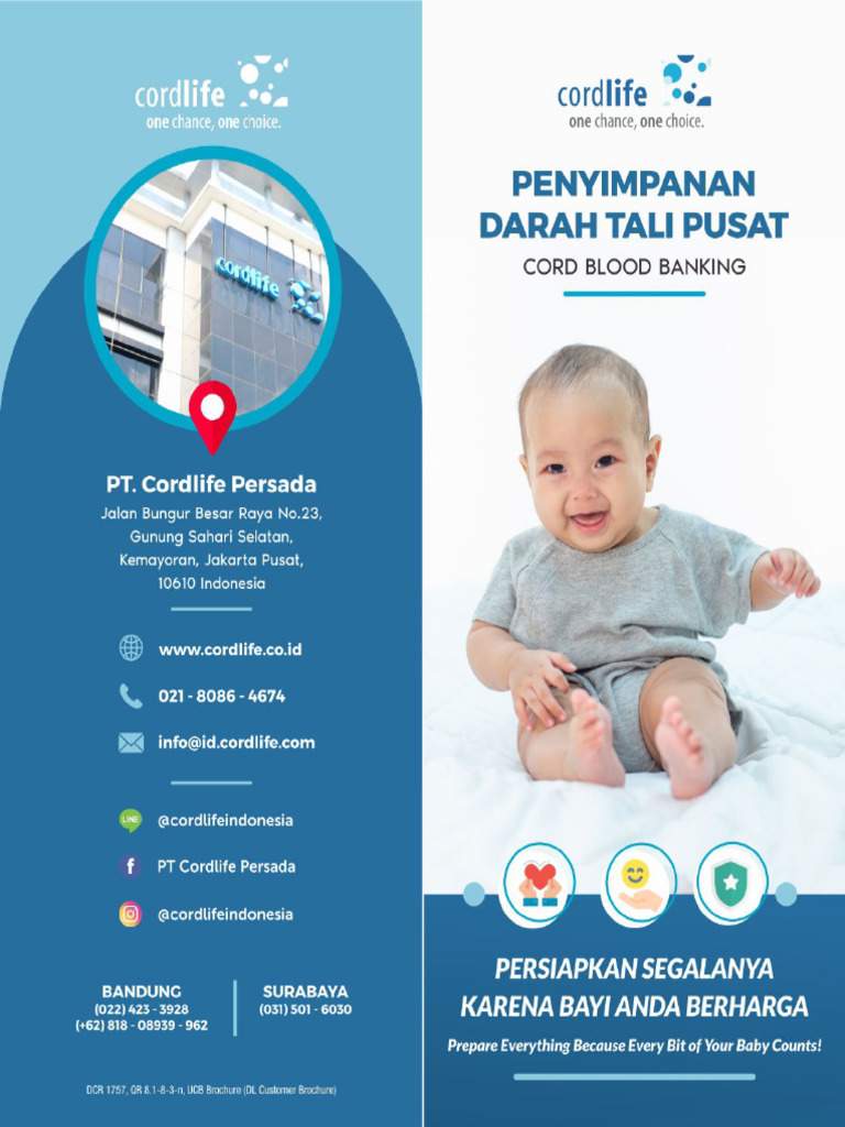 New Brochure Ucb | PDF