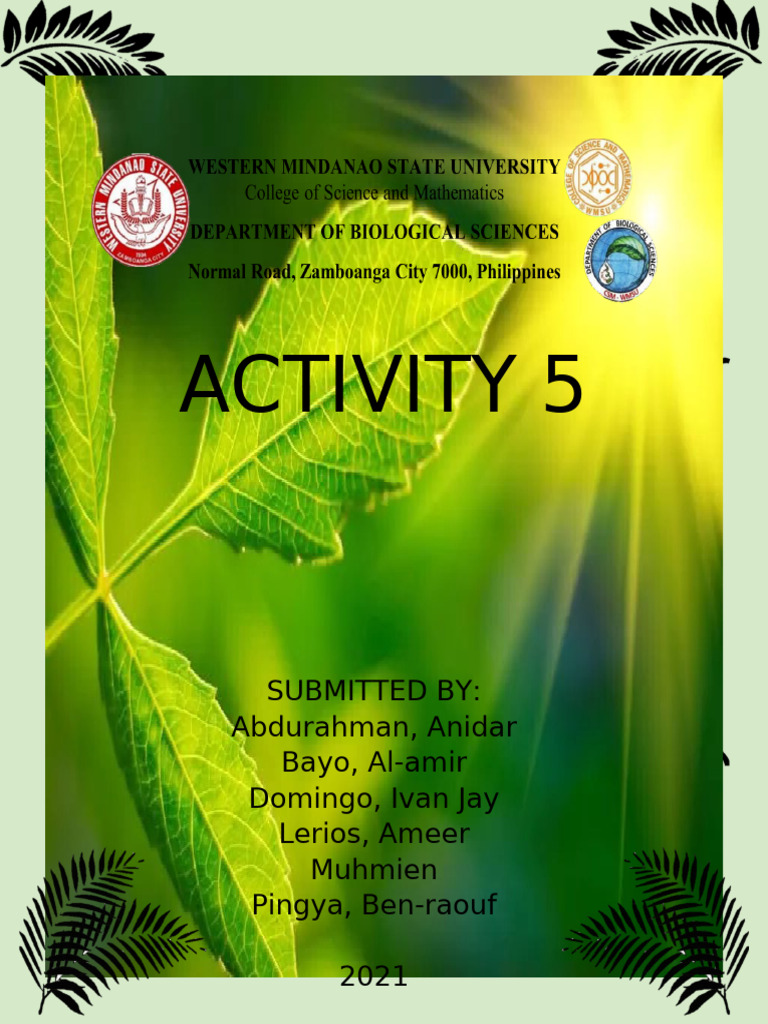 ACTIVITY 5 | PDF
