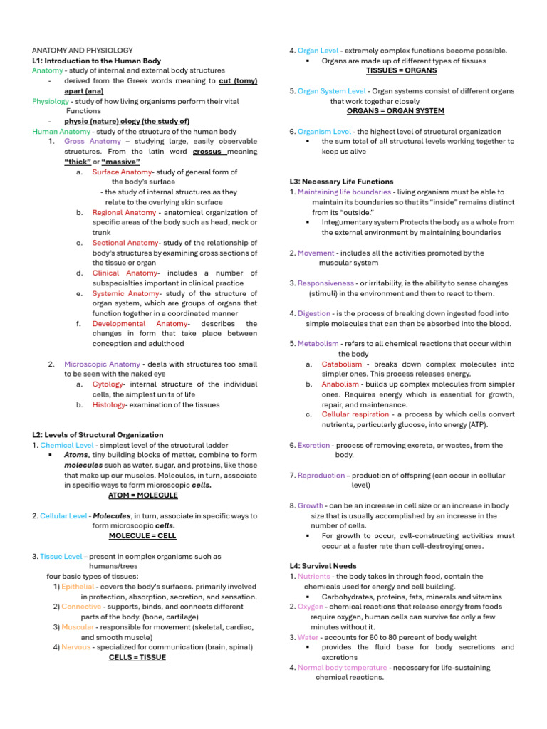 Anatomy and Physiology Reviewer | PDF