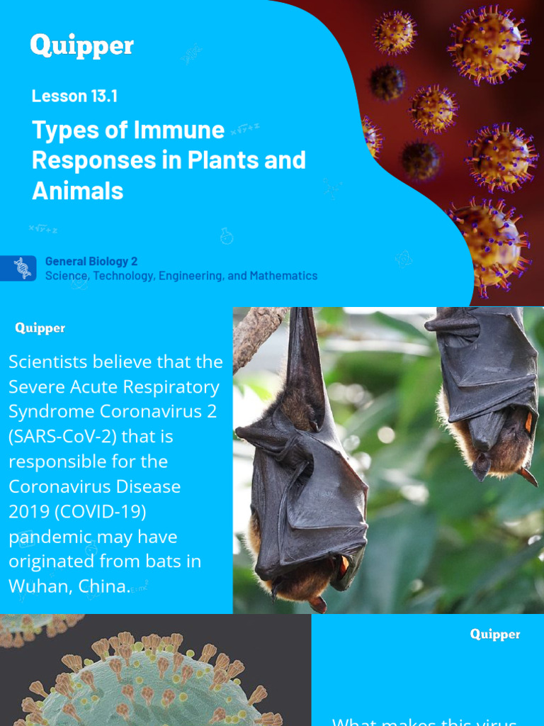 13.1 Types of Immune Responses in Plants and Animals | PDF