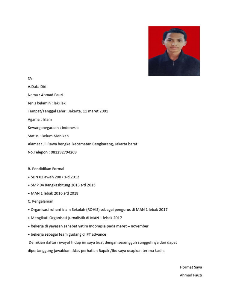 Ahmad Fauzi - CV | PDF