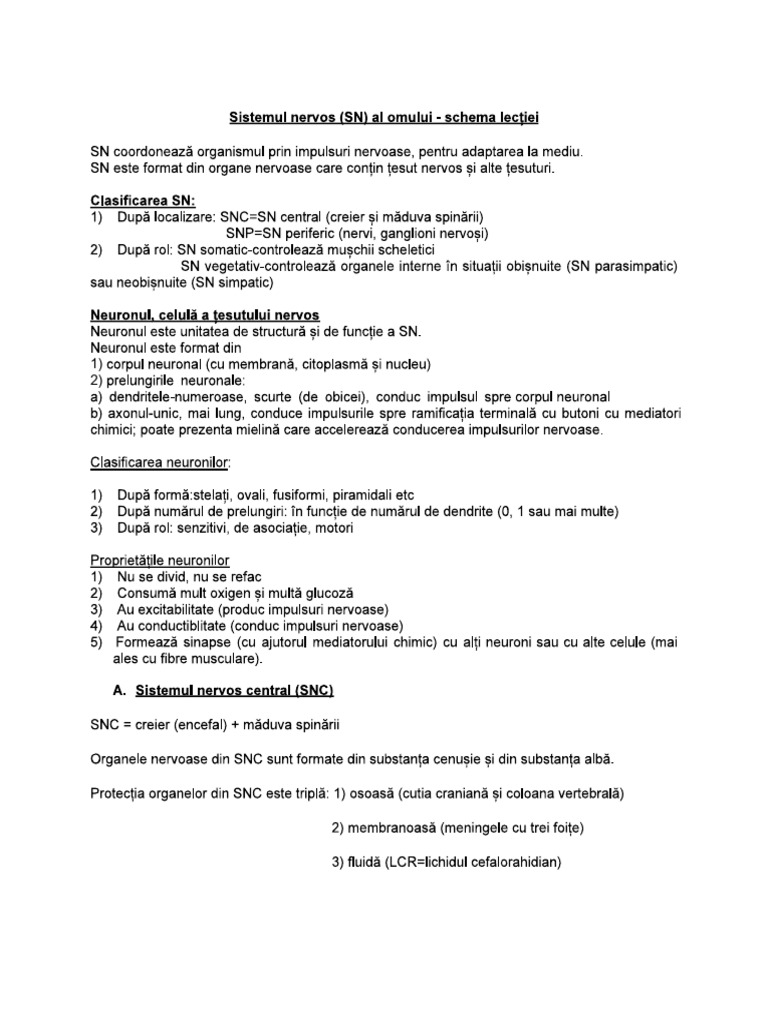 Sistemul Nervos SN Al Omului Schema Lectiei | PDF