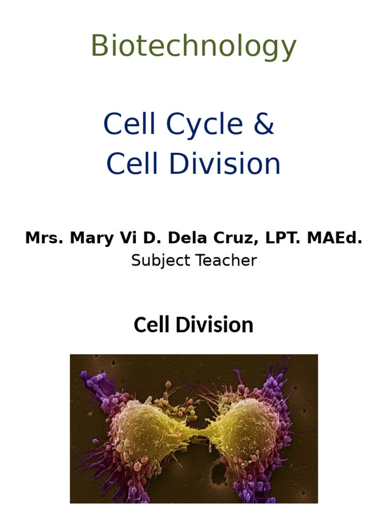 Q1 Lesson 4 Cell Division | PDF