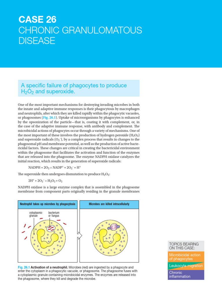 Case Studies in Immunology 7th Edition 2 | PDF