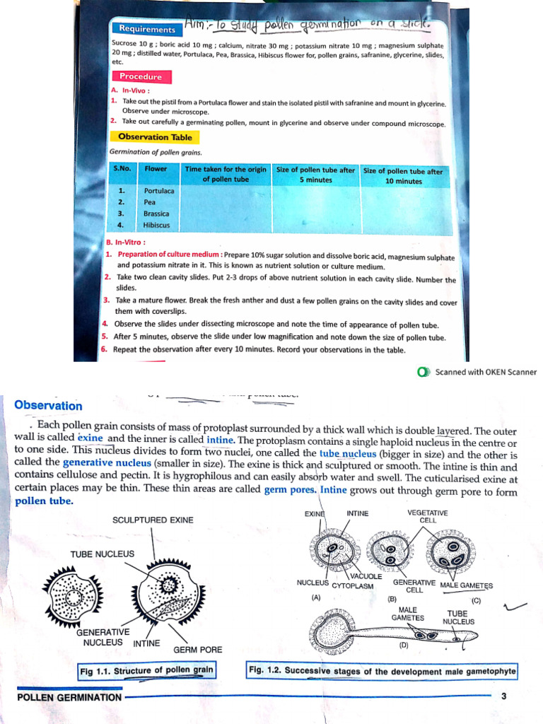 Biology Practical File 12 | PDF