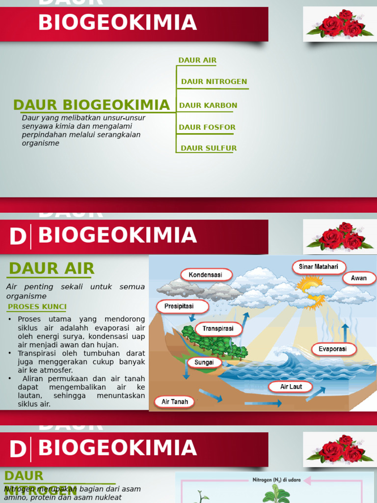 Daur Biogeokimia | PDF