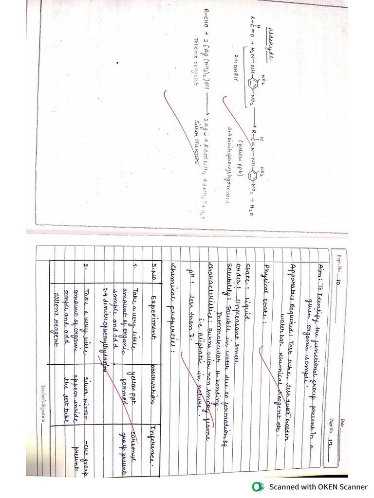Experiment 10 Chemistry Practical | PDF