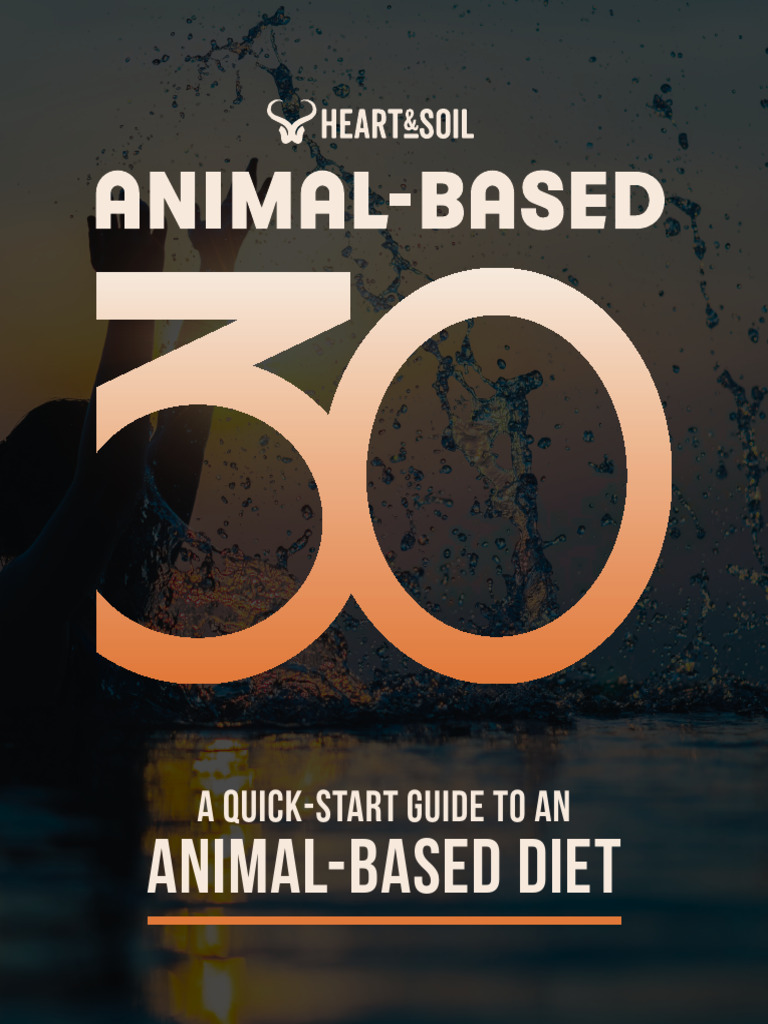 AB30 Guidebook | PDF