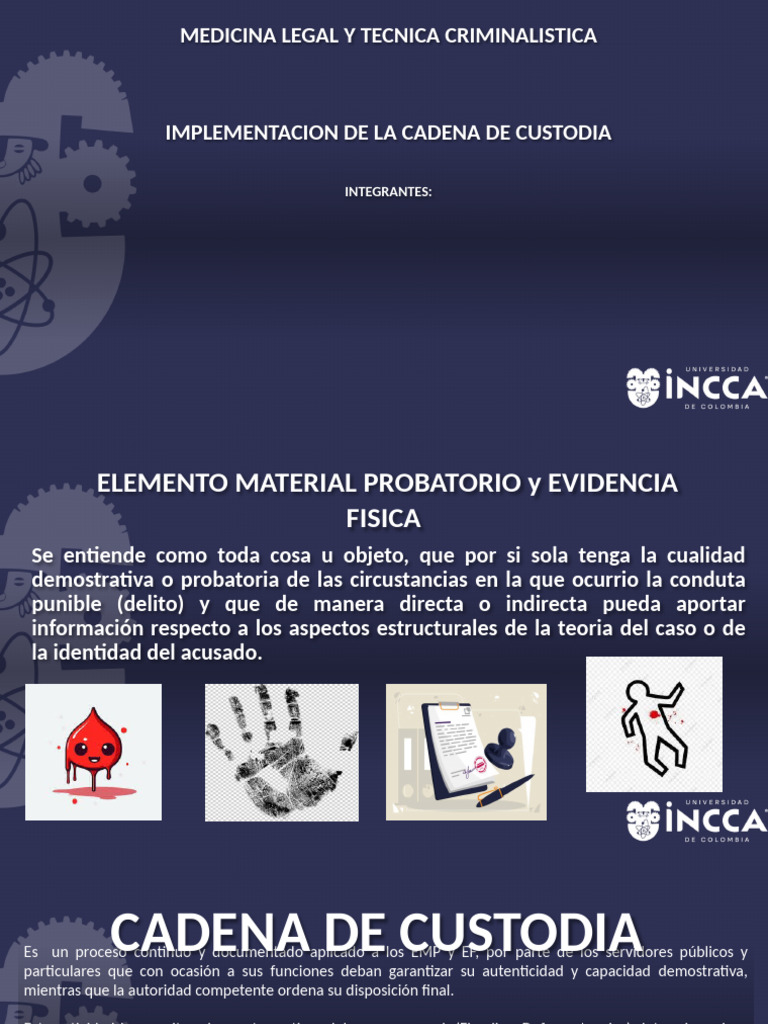 Cadena de Custodia | PDF