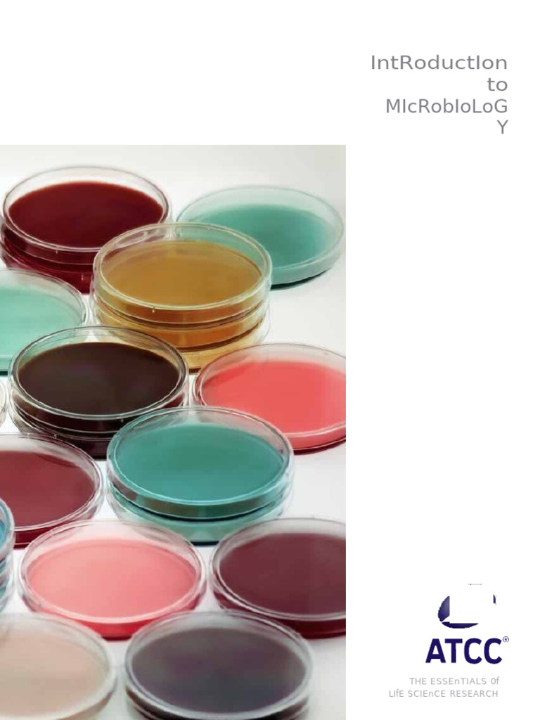Microbiology Basics | PDF