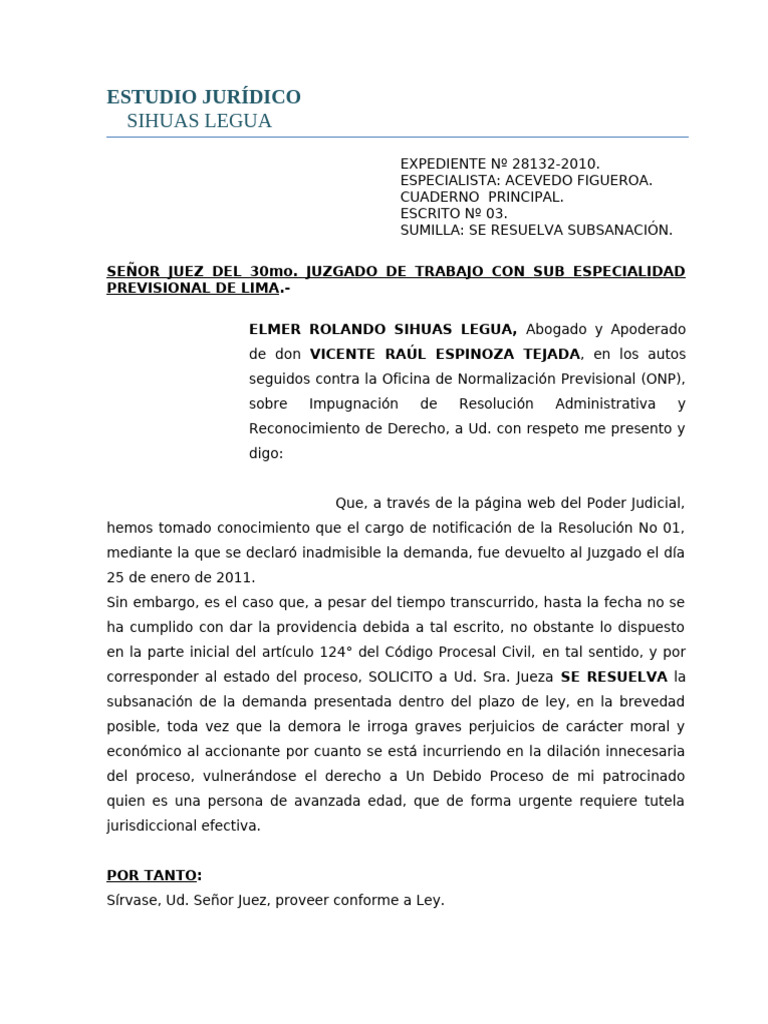Modelo-Resuelva Subsanación | PDF Modelo-Resuelva Subsanación | PDF