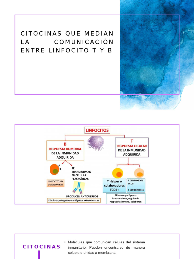 Citocinas Que Median La Comunicación Entre Linfocito T y B | PDF | Citocina | Sistema inmune