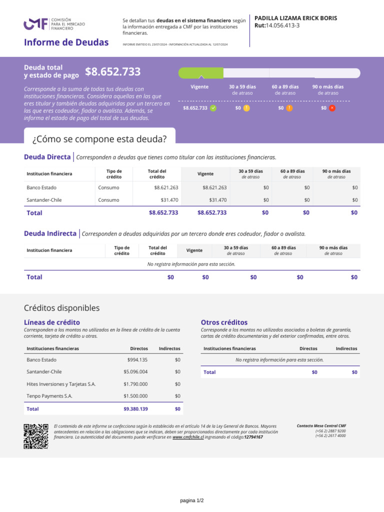 Informe Deudas PDF | PDF