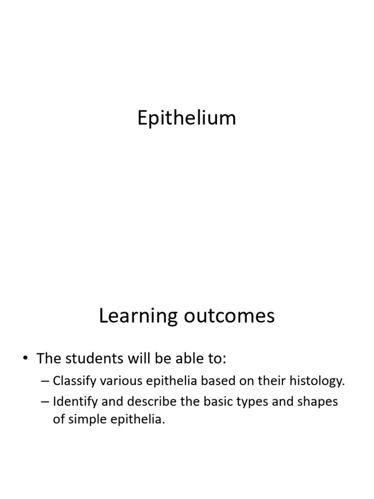 4 - SimPle Epithelium Practical | PDF