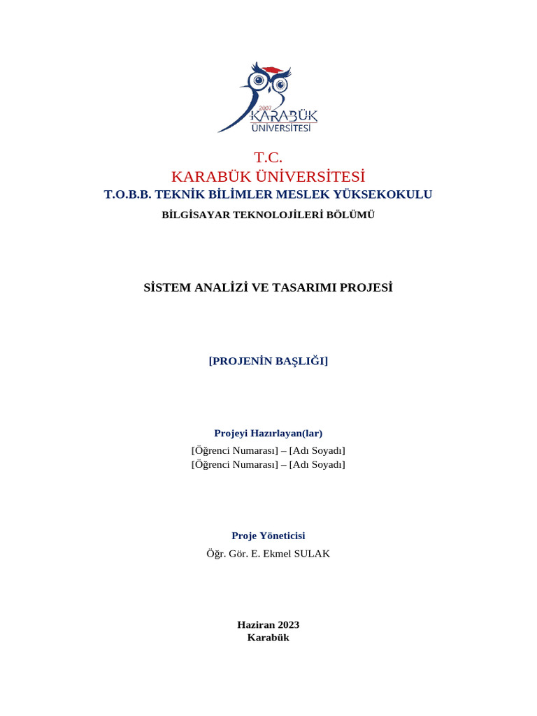 Ornek Proje Raporu | PDF