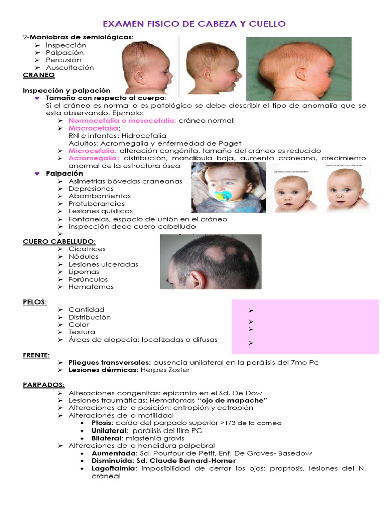 Examen Fisico de Cabeza y Cuello | PDF