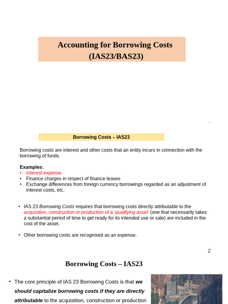 L1 Borrowing Cost (VLE) | PDF
