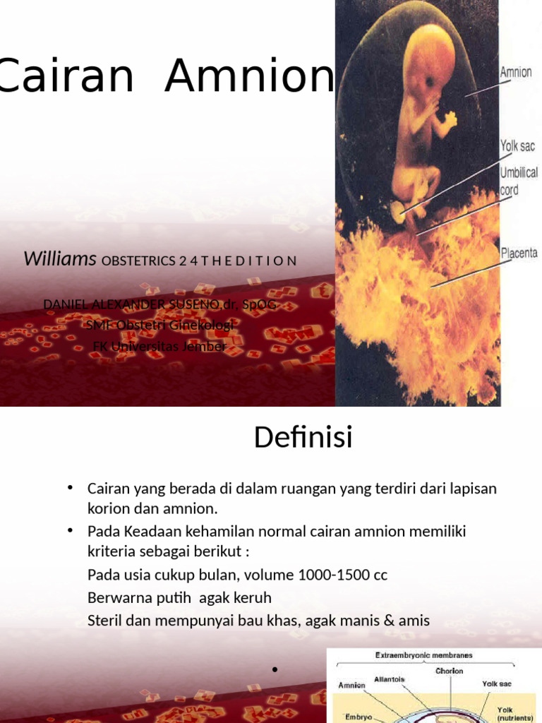 Amnion Presentasi Oke | PDF | Salud y bienestar | Ciencia y matemáticas