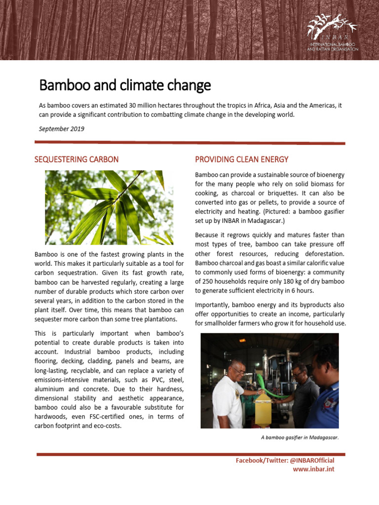 Bamboo and Climate Change | PDF