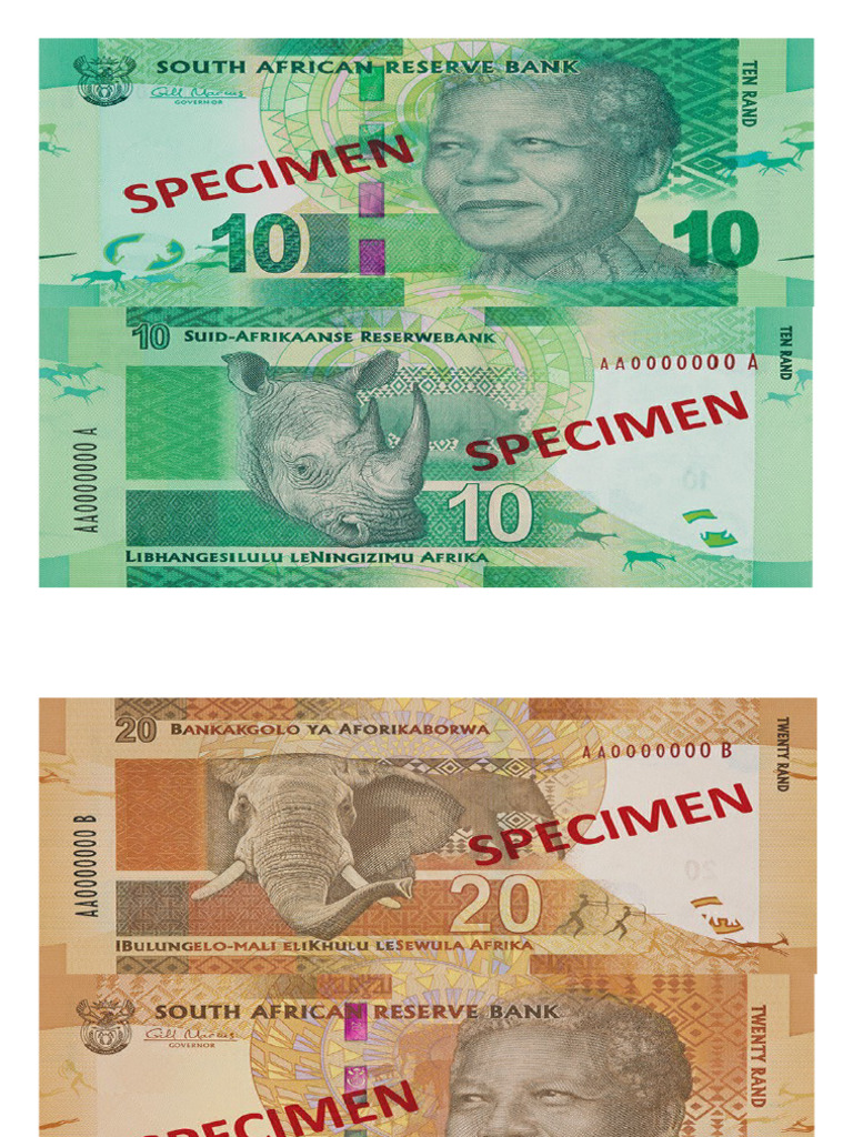 South African Money | PDF