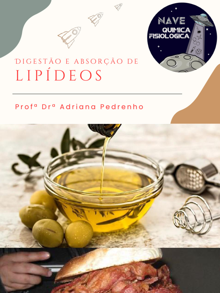 Aula 3 Digestão e Absorção de Lipídeos | PDF