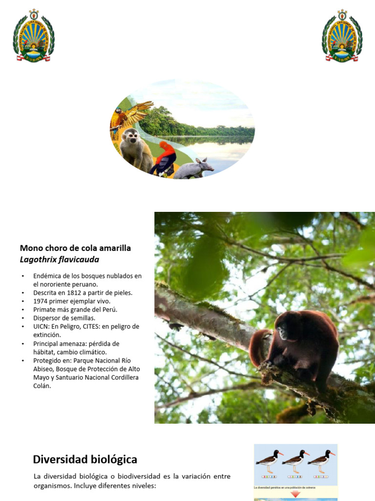 Bio Divers I Dad | PDF