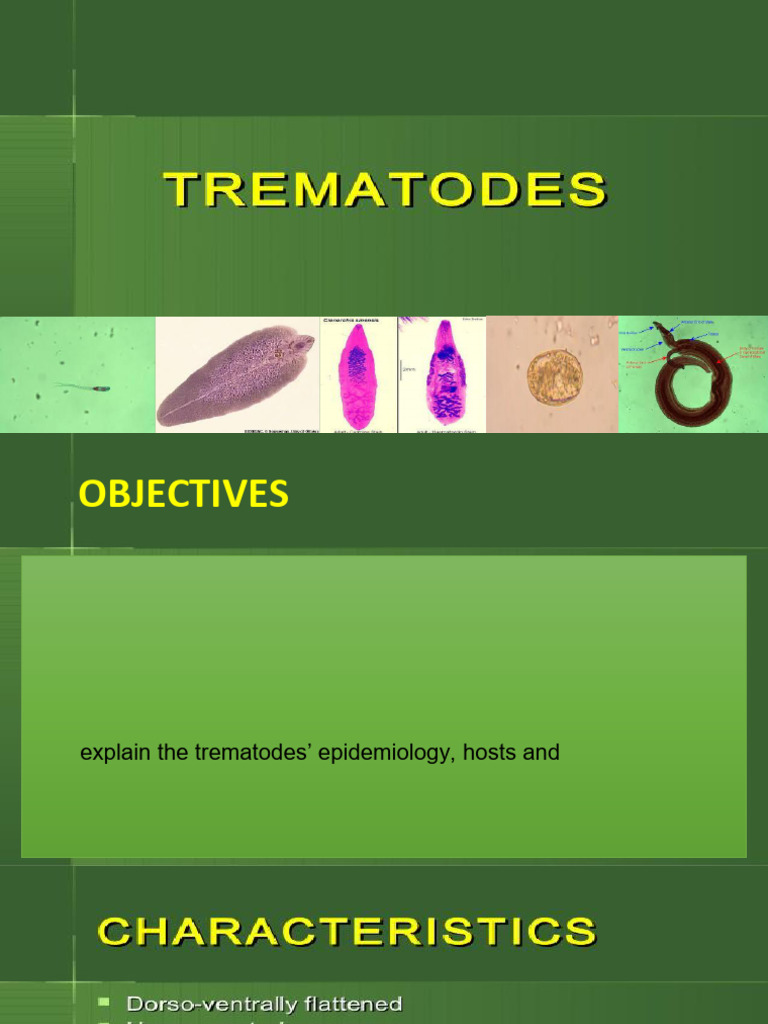 Trematode S | PDF