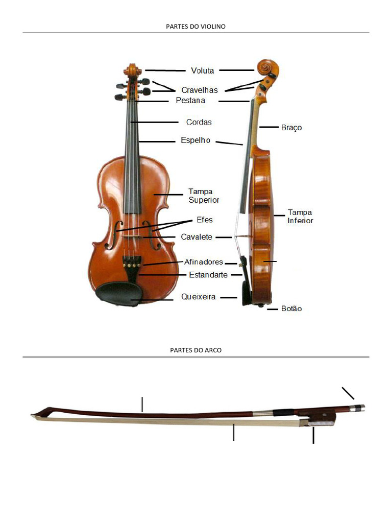 Partes Do Violino | PDF