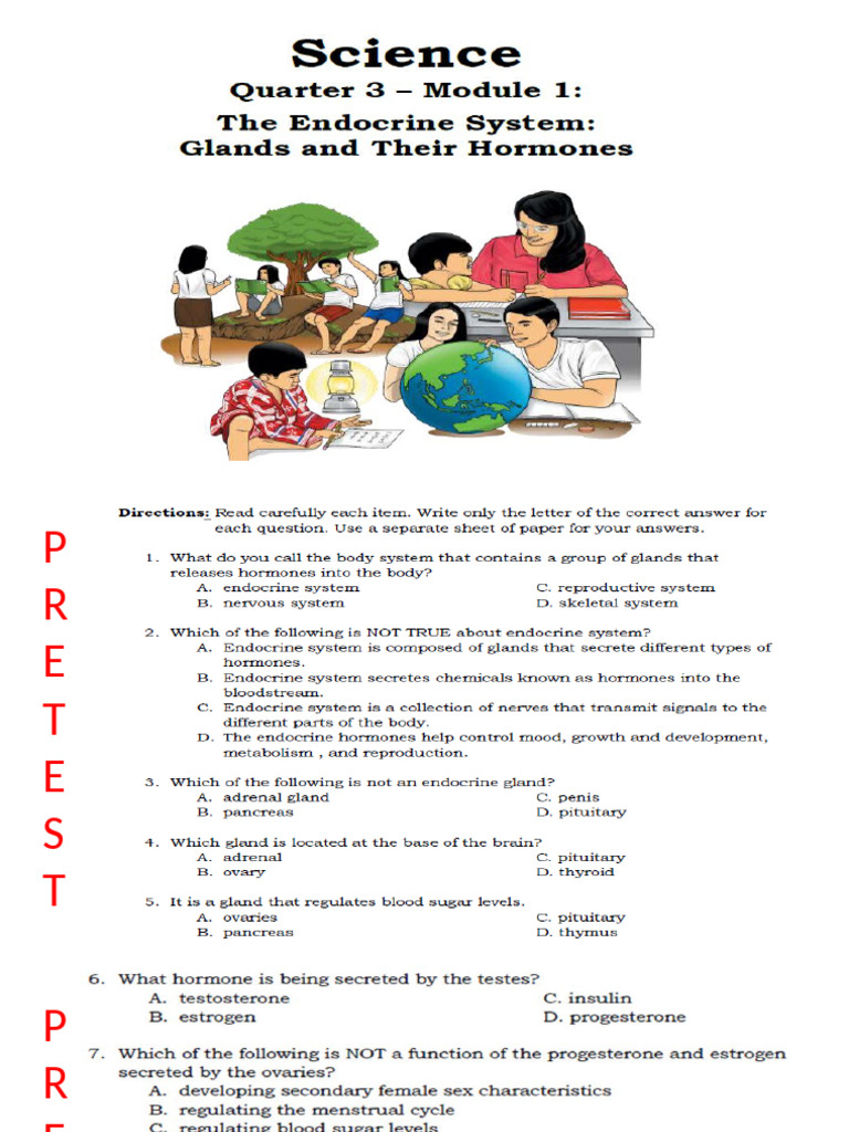 Module 1 Endocrine System Student | PDF