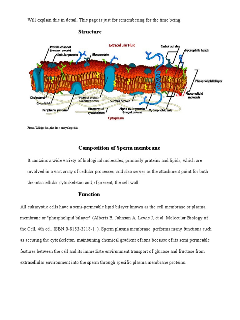 Tests for Membrane Integrity | Staining | Cell (Biology)