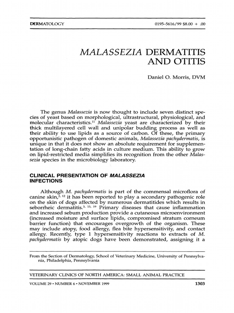 Malassezia Dermatitis and Otitis | PDF