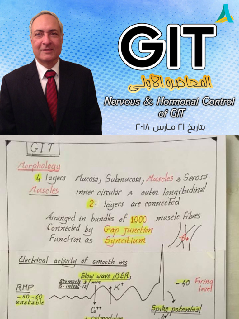 GIT (1) - DR - Nagi Diagrams 2018 | PDF