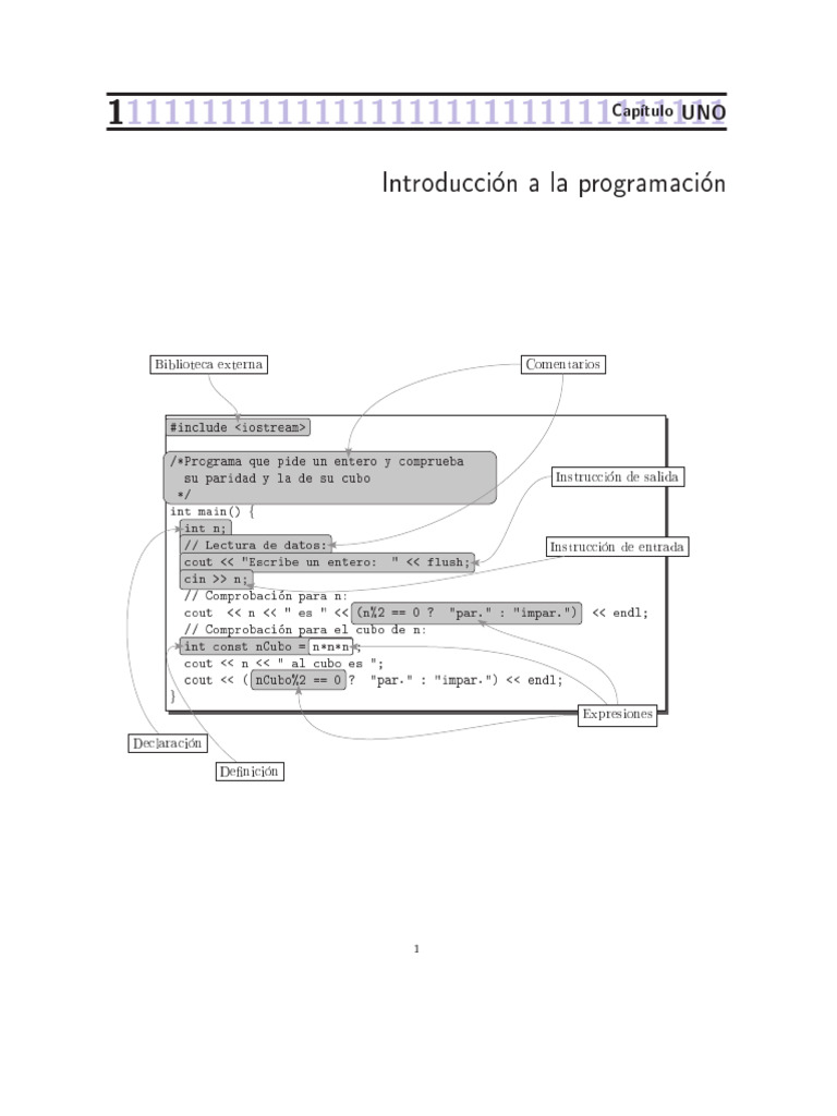 F1 - Introducción A La Programación - Resumen | PDF