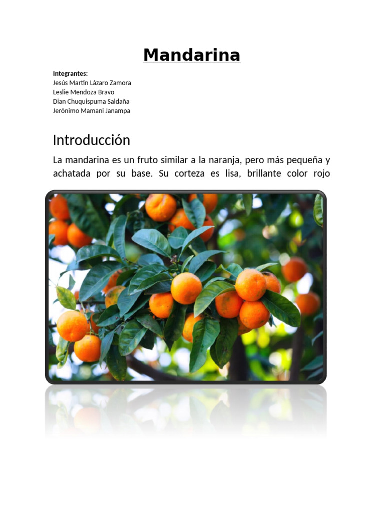 Guía Completa sobre la Mandarina | PDF | Fruta | Cosecha
