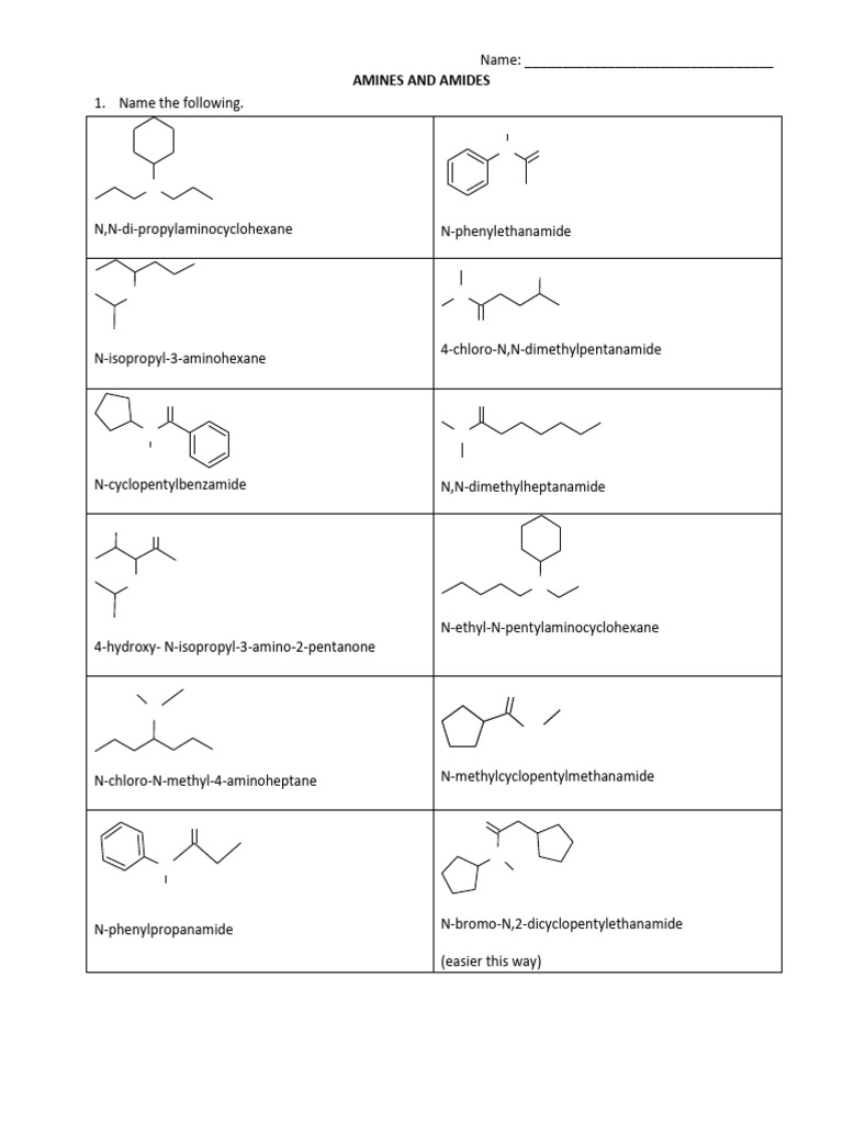 Amines and Amides Worksheet Key | PDF
