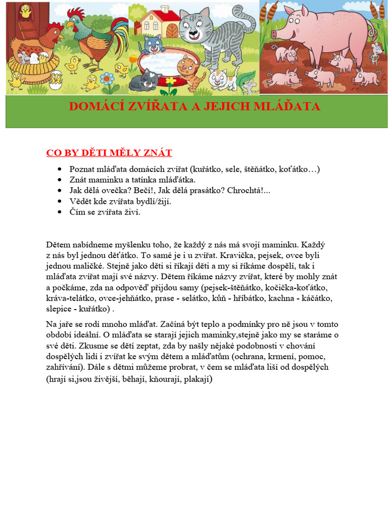 DV Domaci Mladata | PDF