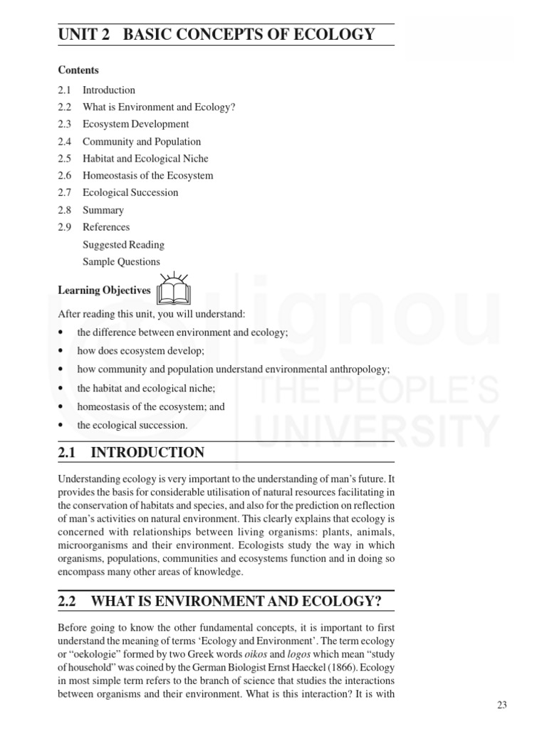 Unit 2 | PDF
