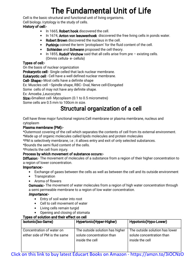 Cell Biology Essentials | PDF | Photochemistry | Anatomy