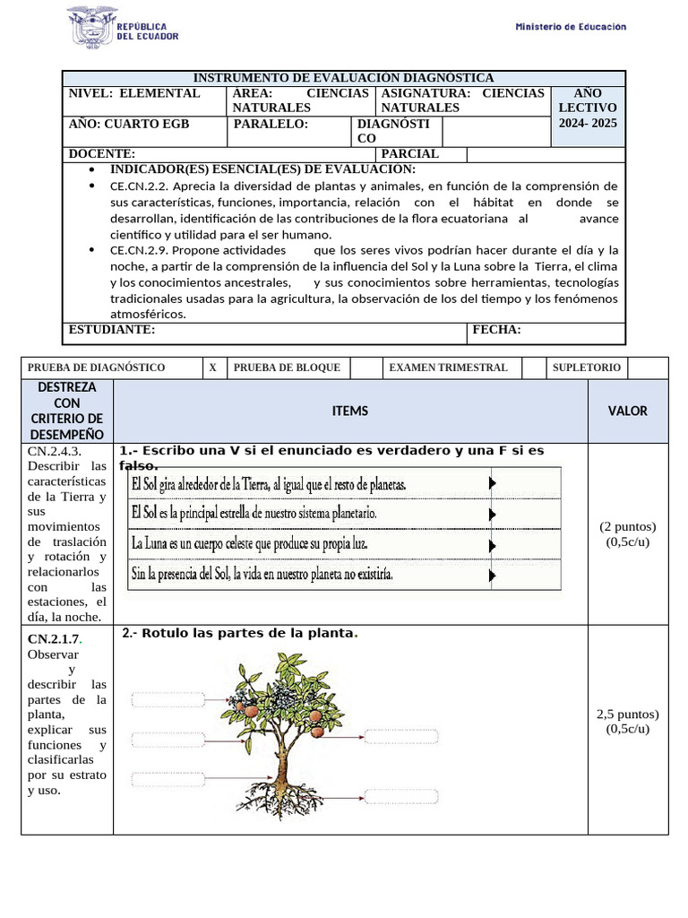 4to CCNN Evaluación Diagnóstica 2024 | PDF