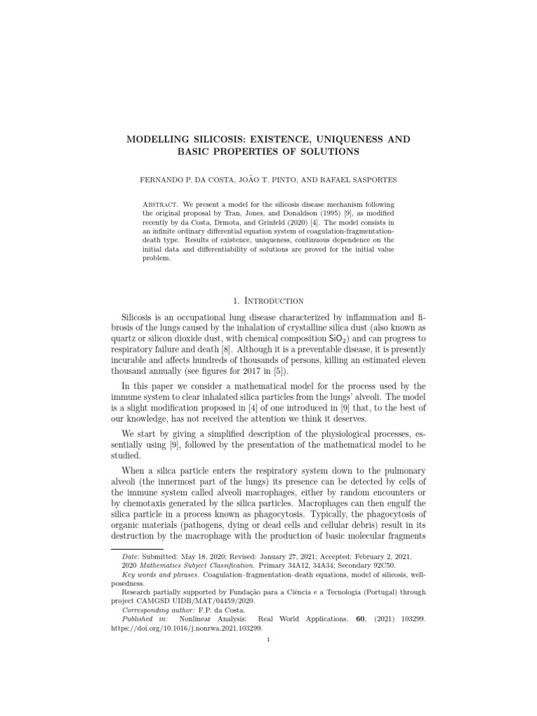 Modelling Silicosis Existence Uniqueness | PDF
