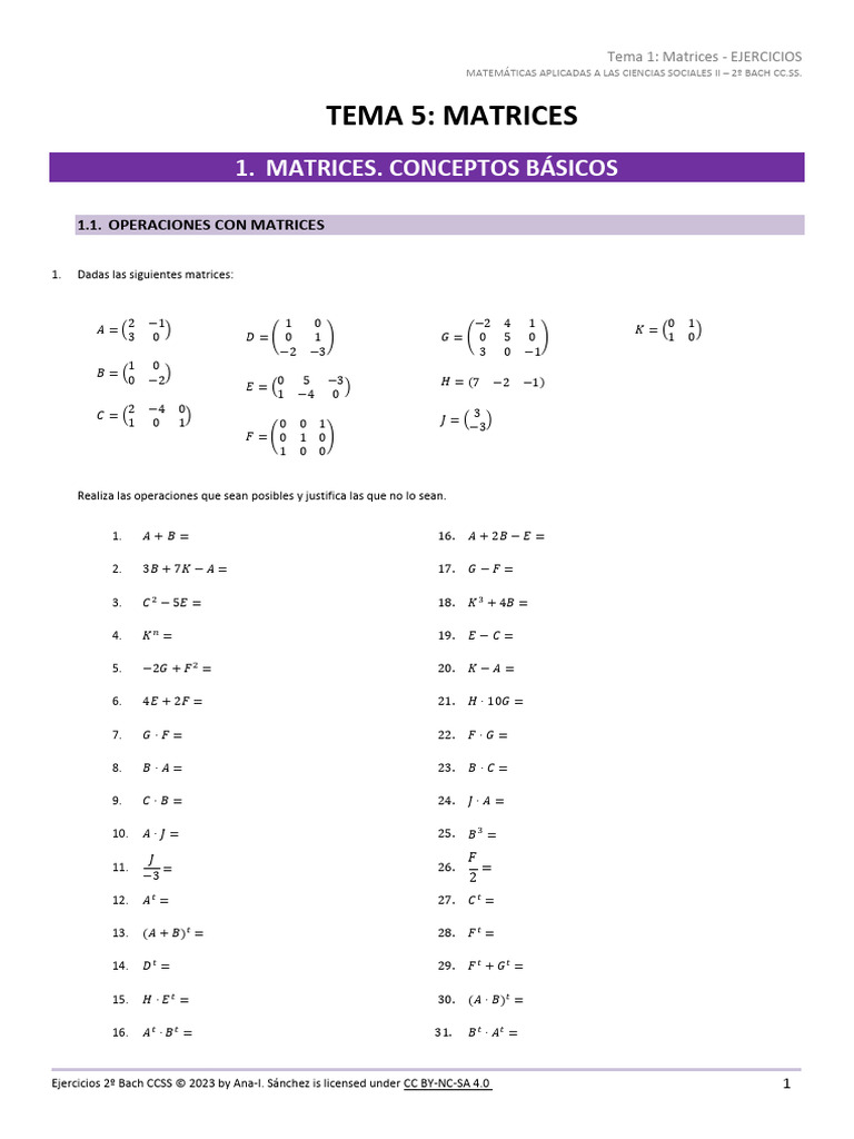Tema 1. Matrices Ejercicios | PDF